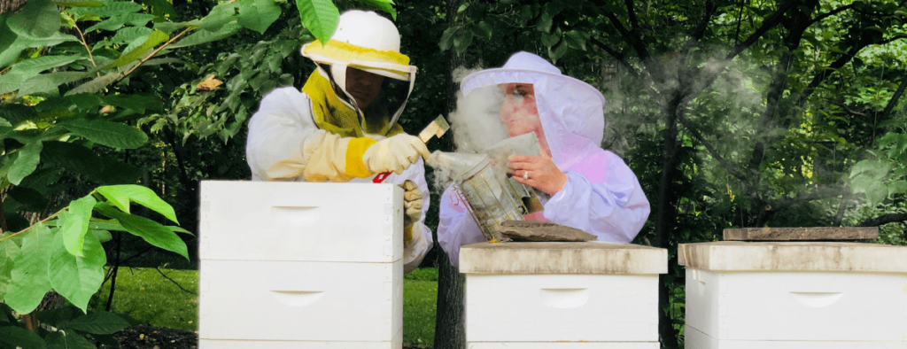 The Ultimate Guide to Beekeeping for Beginners | SunVara