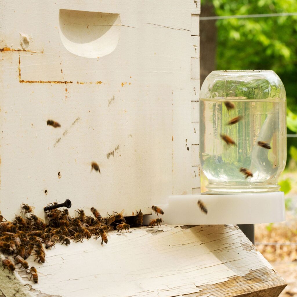 Boardman Feeder - Bee Hive Entrance Feeder | SunVara