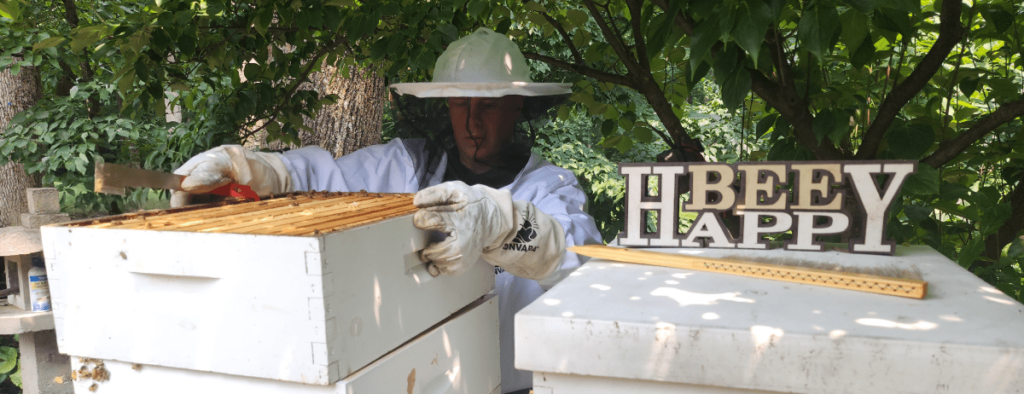 Fall Checklist for Beekeepers | SunVara