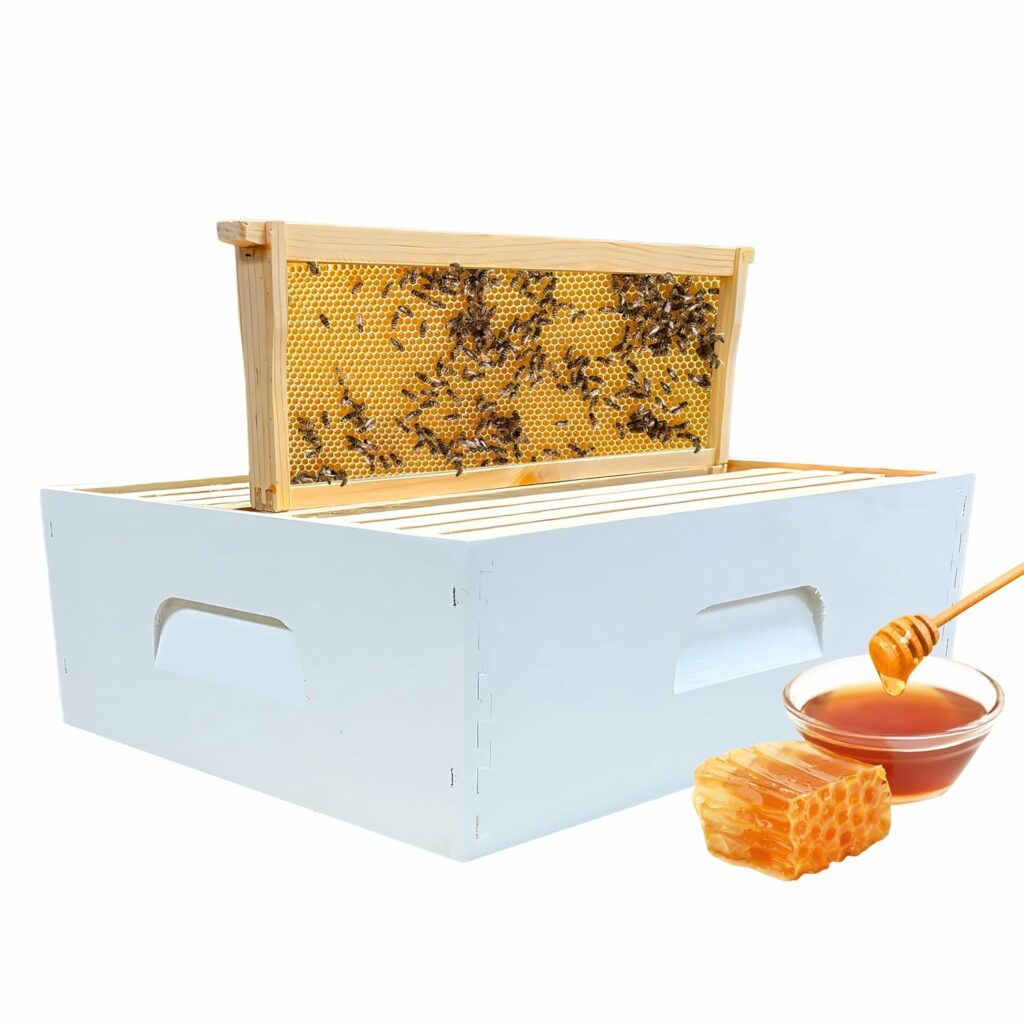 Bee Box - Honey Box - Bee Super | SunVara
